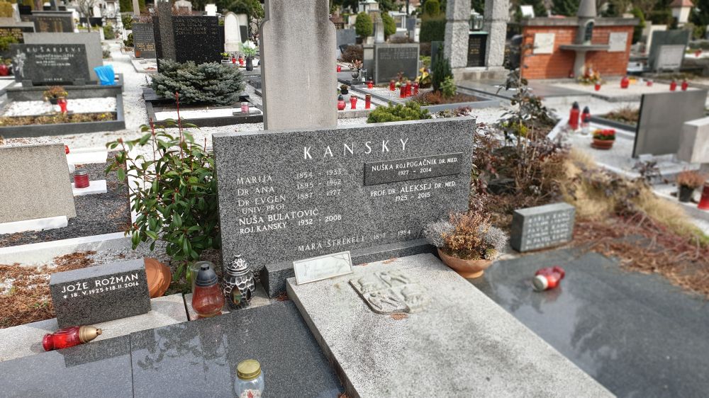 Ana Mayer Kansky | Slovenski grobovi