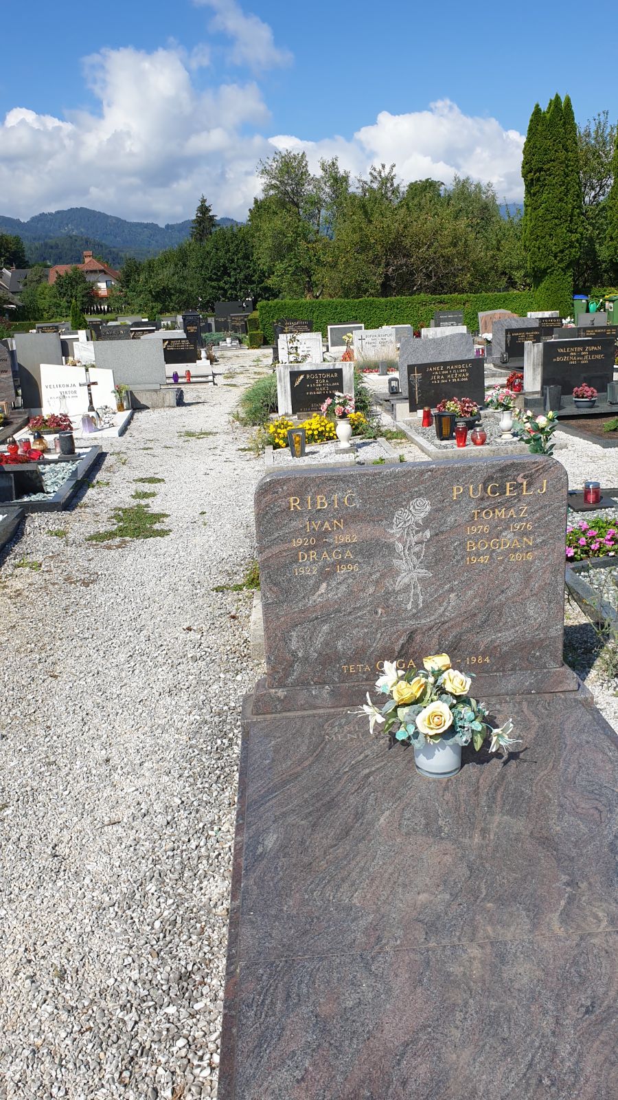 Ivan Ribič | Slovenski grobovi