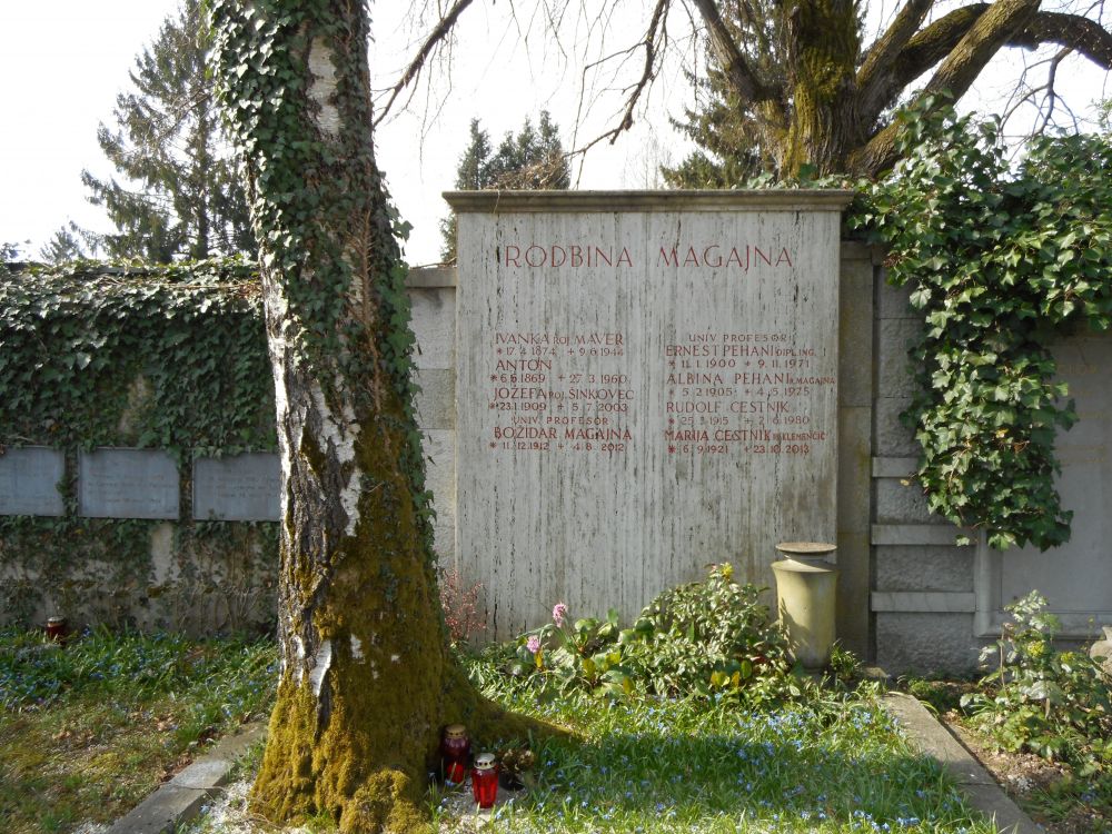 profesorBožidar Magajna | Slovenski grobovi
